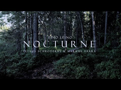 Nocturne - Petrus Schroderus and Markus Vaara