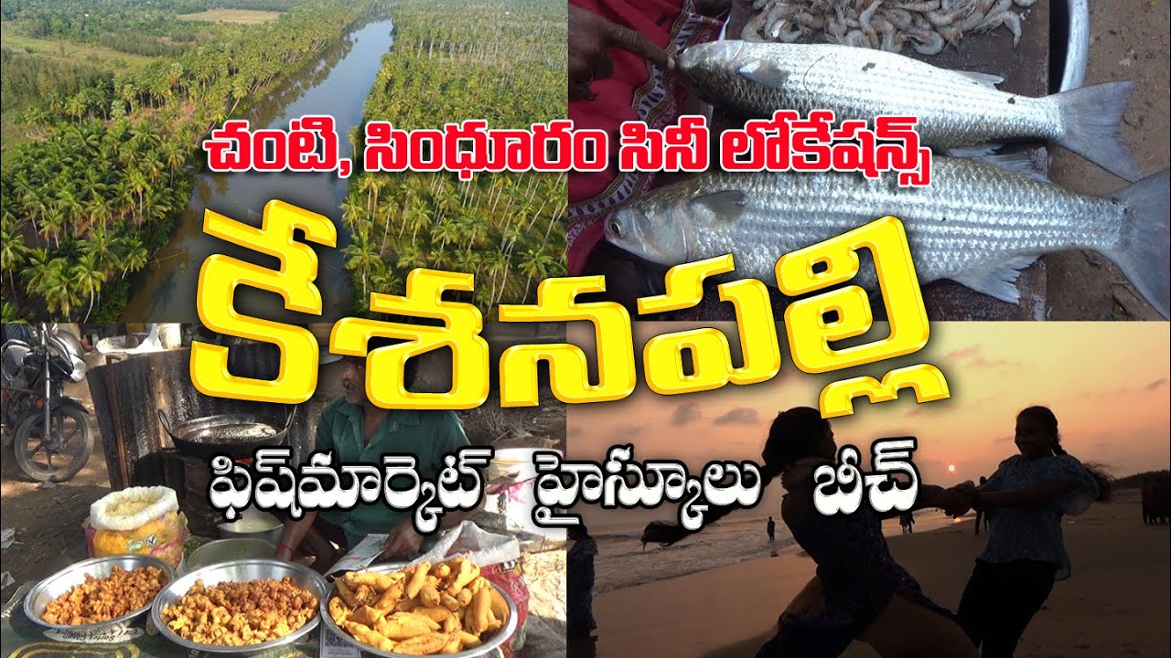 కేశనపల్లి - Kesanapalli village Tour - Fish Market - Beautiful Beach ...