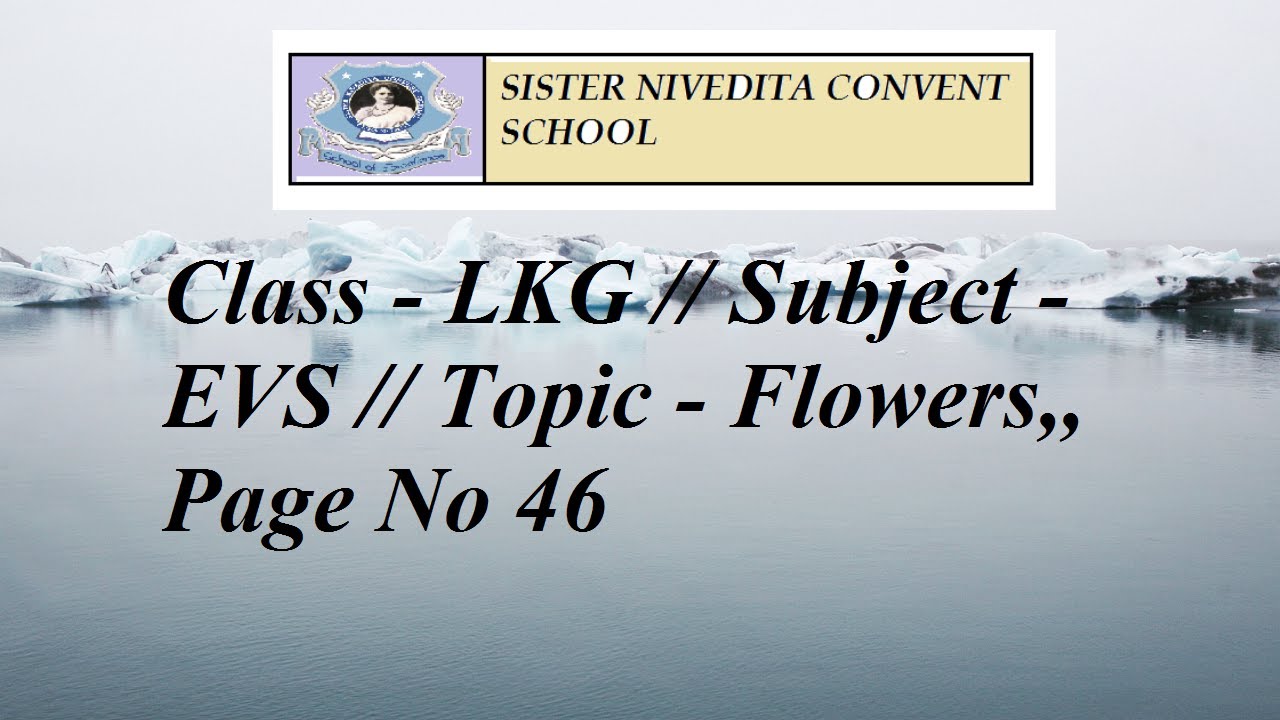 Class - LKG // Subject - EVS // Topic - Flowers,, Page No 46 - YouTube