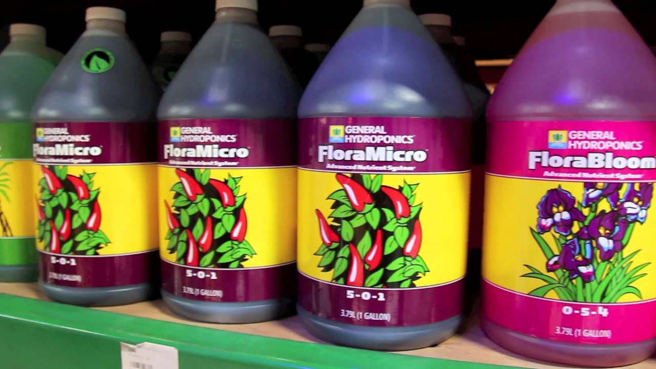 Santa Rosa Hydroponics & General Hydroponics Nutrients - YouTube