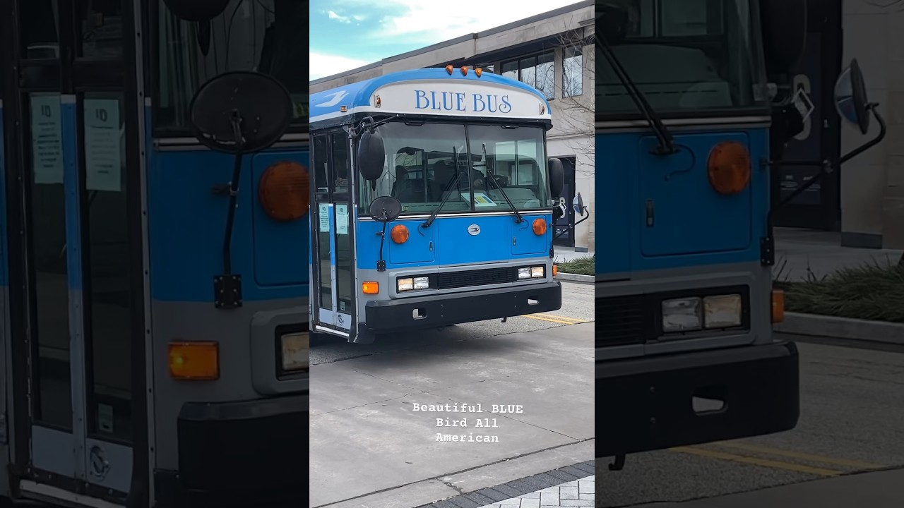 Blue bird all American from 2010! Beautiful diesel sounds and halogen ...