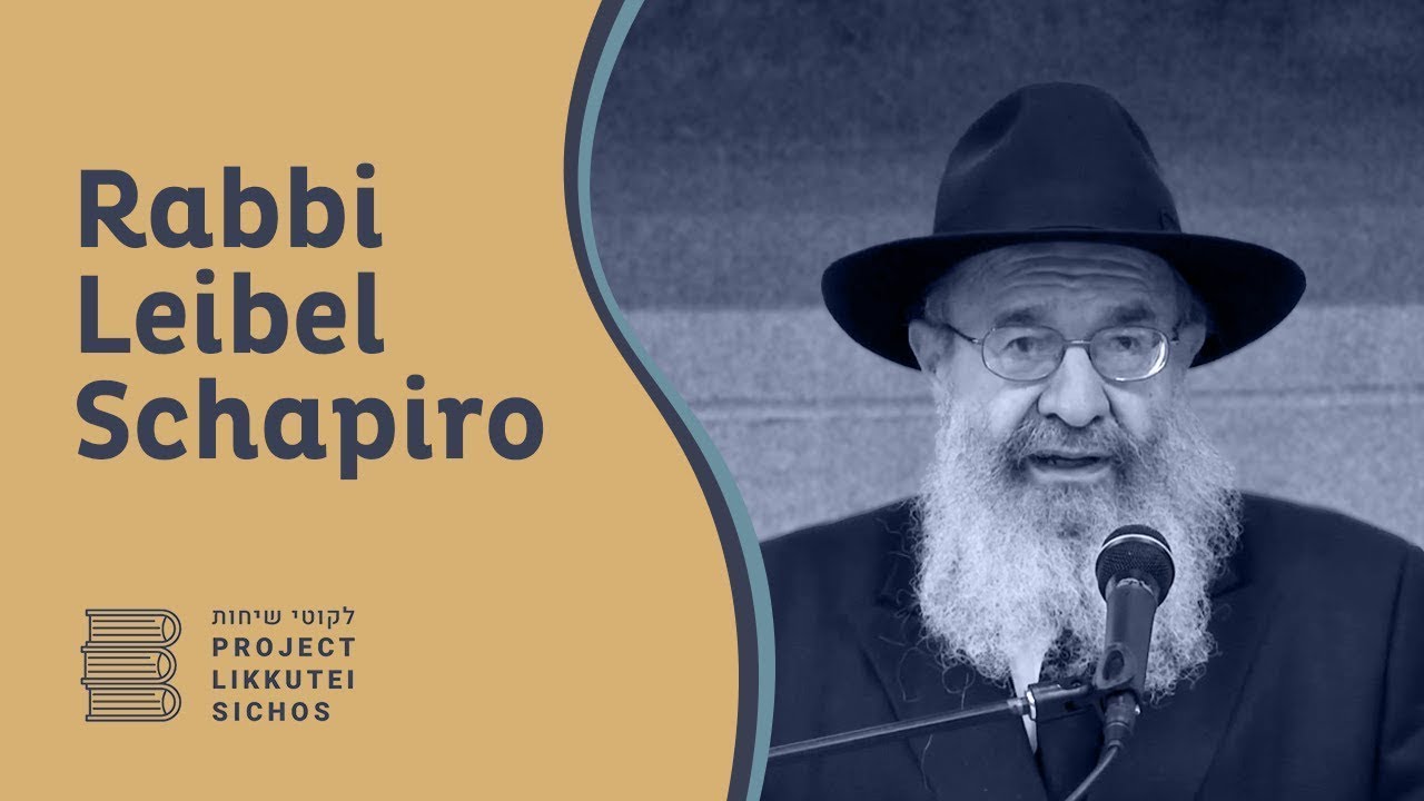 Vol 24 - Shoftim 3 - Rabbi Leib Schapiro - YouTube
