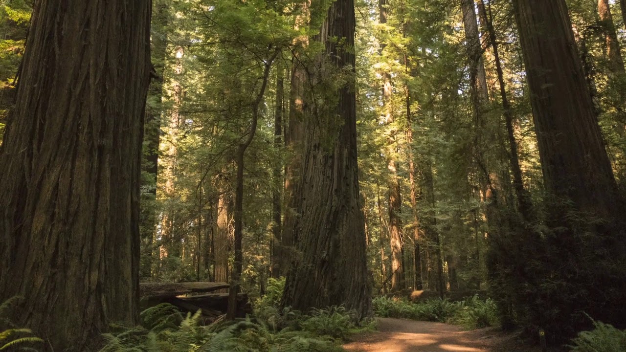 Road Trip Timelapse (Four National Parks, One State Park) - YouTube