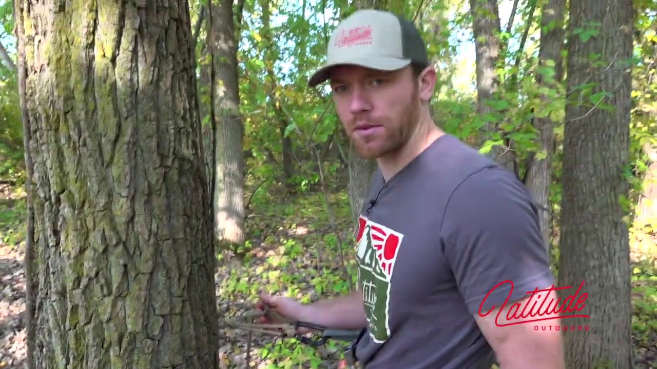 Adjusting your Tree Saddle - YouTube