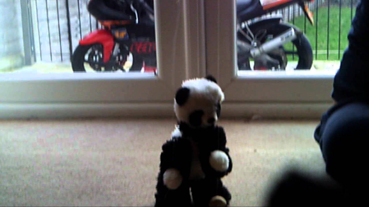 bo the panda show episode 2 dancing - YouTube