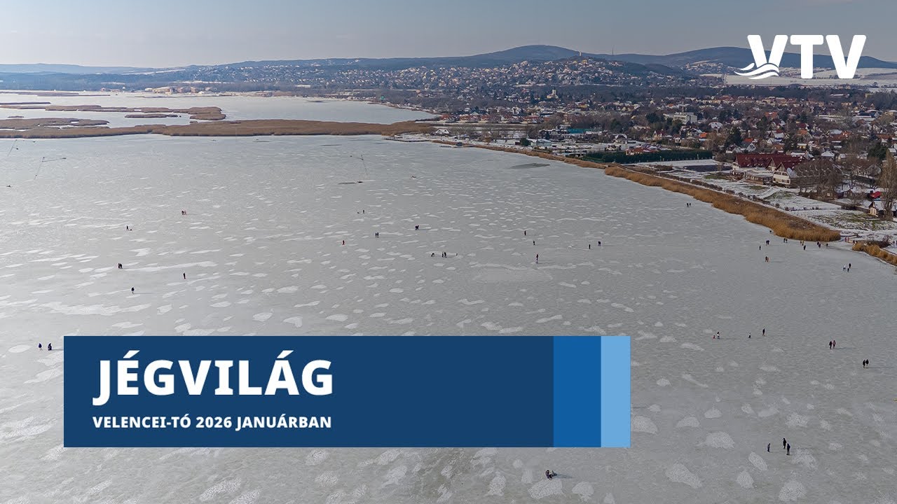 Jégvilág - Velencei tó 2026 januárban - YouTube