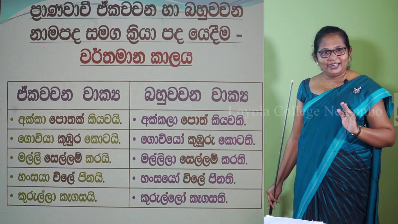 Grade 4 Sinhala Session 04 - YouTube