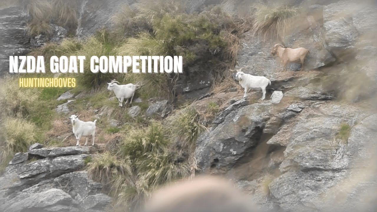 NZDA HUNTING GAOTS (CULL) 2025 - YouTube