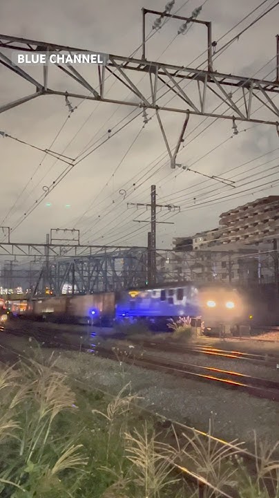 (貨物列車) 2024/10/20 1098レ EF210-152 + コキ20B (名古屋タ〜八戸貨物) #Shorts - YouTube