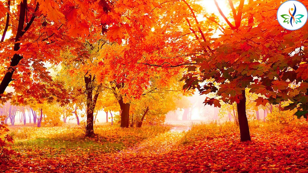 Beautiful Relaxing Hymns, Fall Music, Peaceful Autumn Nature, "Autumn ...