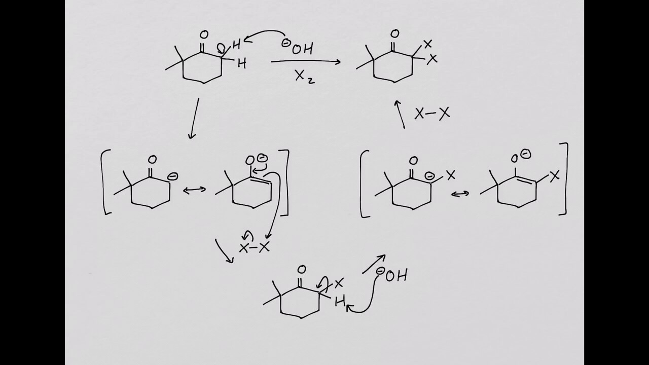 CHEM 222: Base-promoted Alpha Halogenation of Ketones - YouTube
