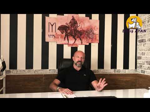 Welsh Corgi Irkını Tanıyalım