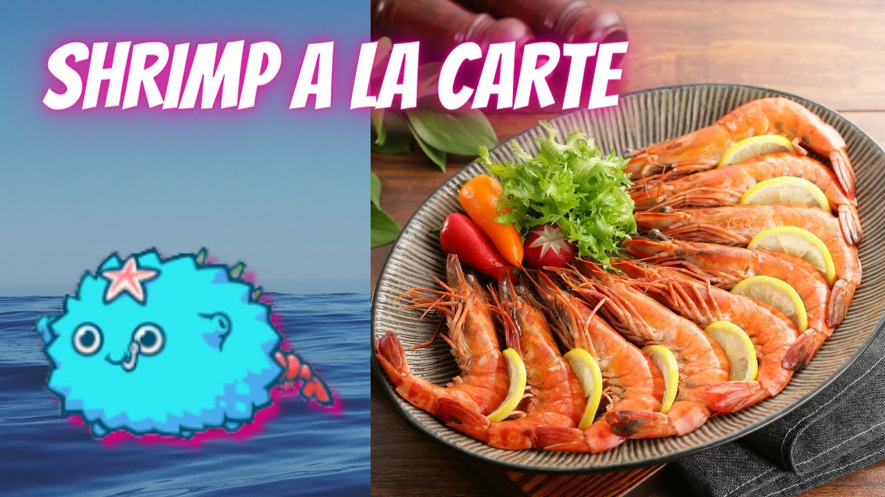 Axie Infinity V2 Classic Battle EP. 19 - YouTube