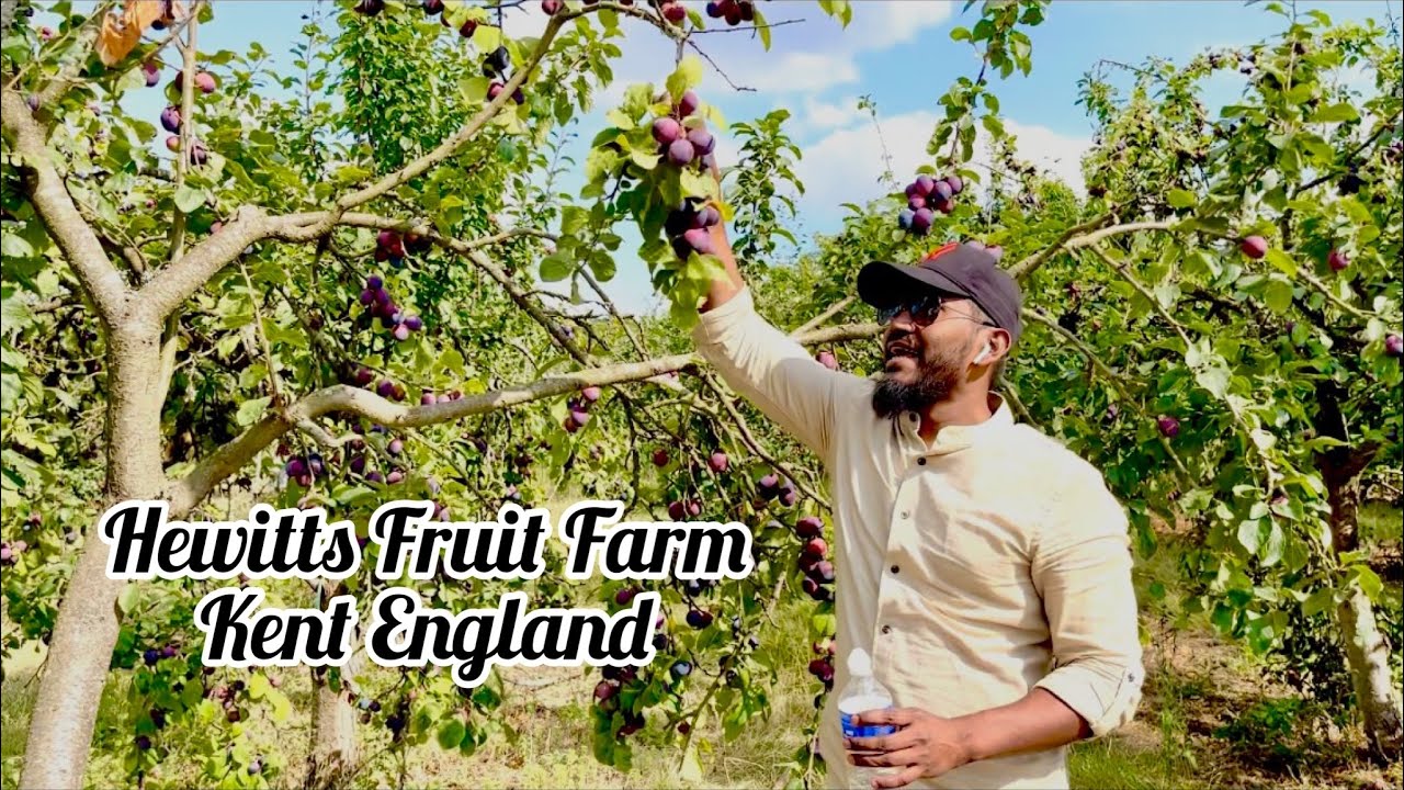 Hewitt's Farm shop| Fruit farm | Orpington Kent England | Traveling ...