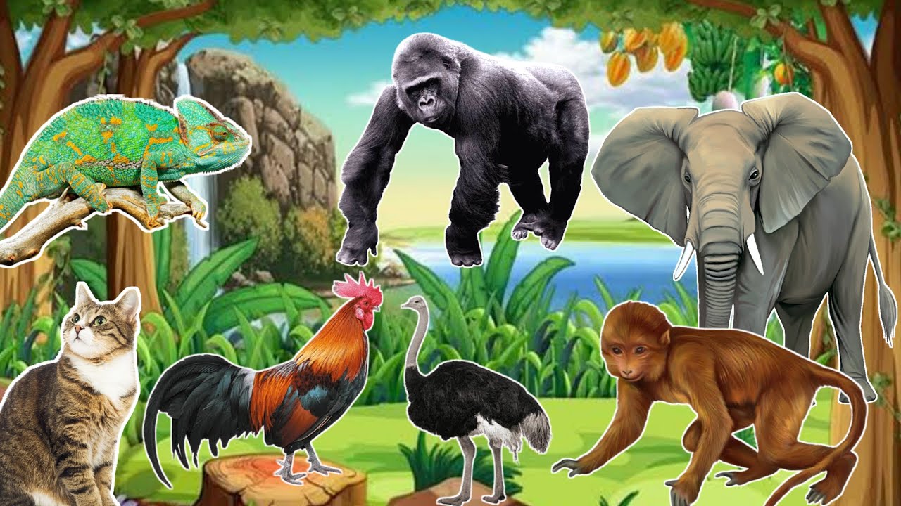 Unlock the Mystery of Wild Animals! 🦁🦊🐯🐮 | 4K Relaxing Music Animals ...