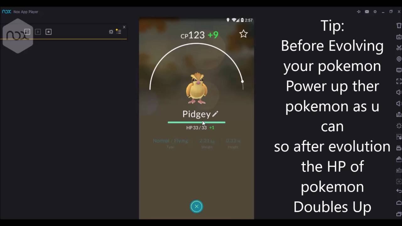 Pokémon Go Pidgey Evolution - YouTube