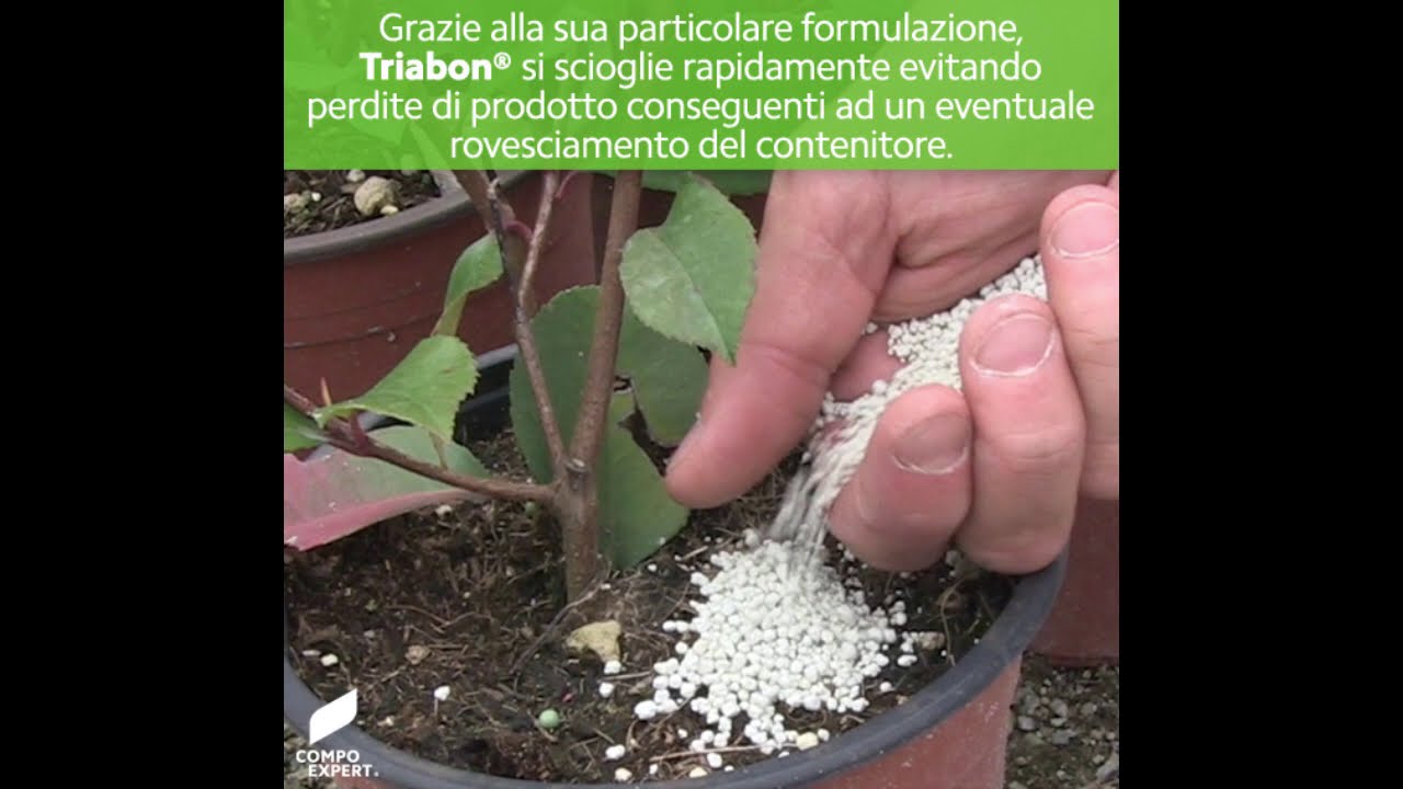 Concime a lento rilascio Triabon - YouTube
