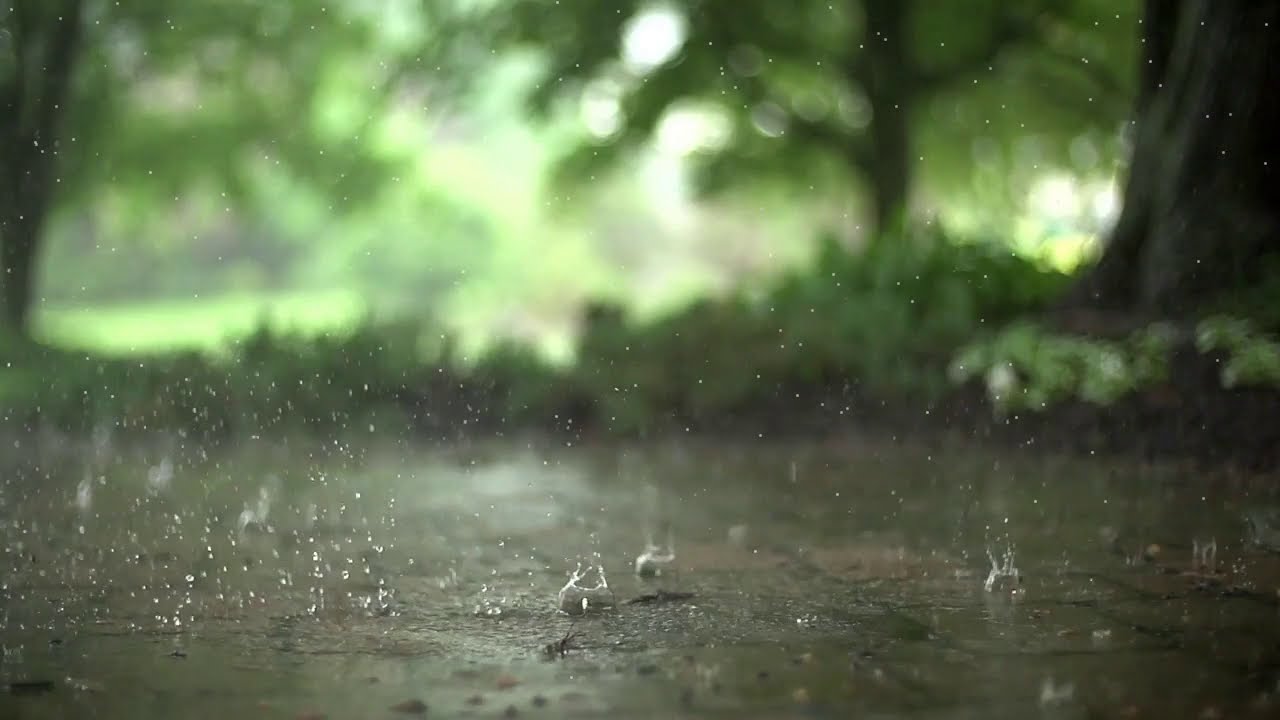 Ye Mausam Ki Barish Ye Barish Ka Pani | Rainy Days WhatsApp Status ...