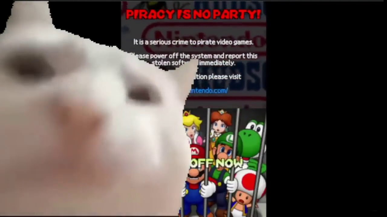 10 Hours of Cat Vibing to Mario Party DS Anti-Piracy Screen - YouTube