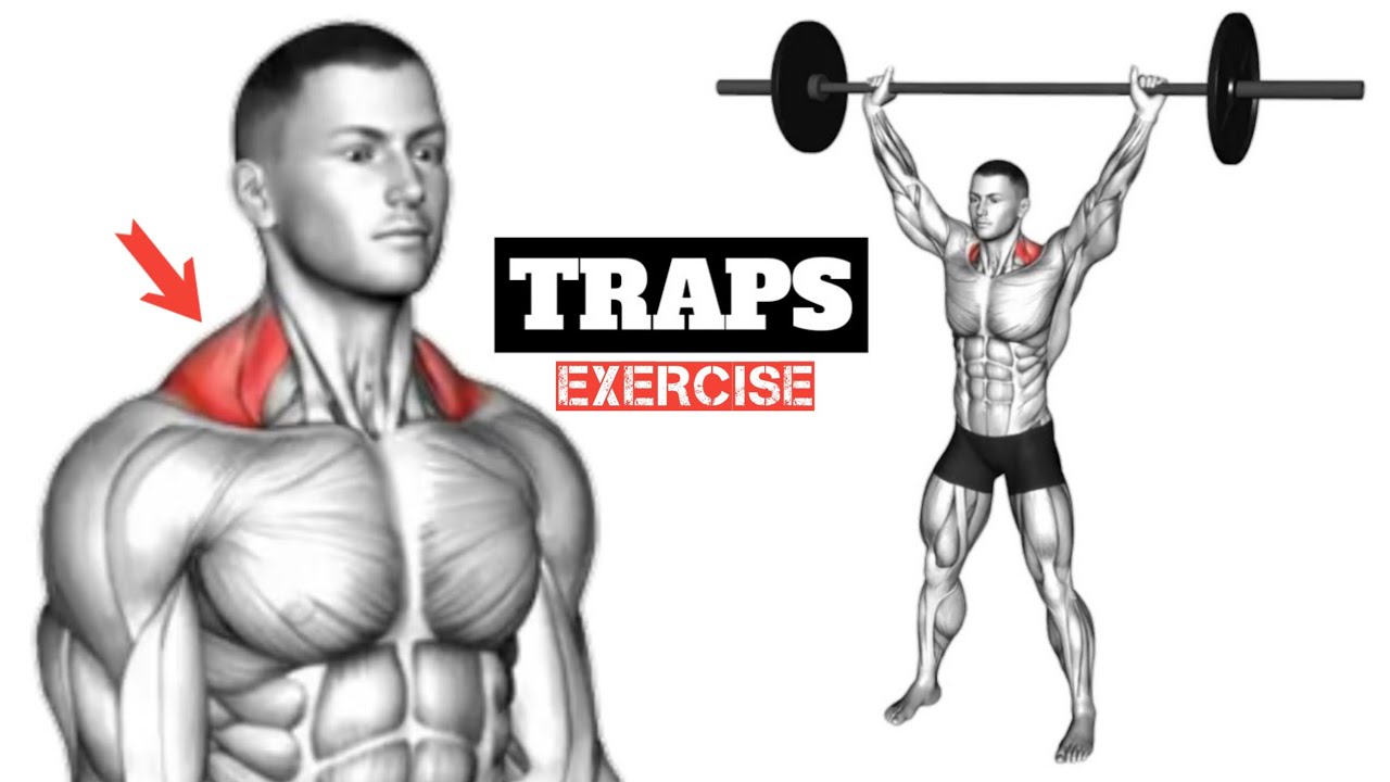 Bigger TRAPS with these 5 exercises | - YouTube