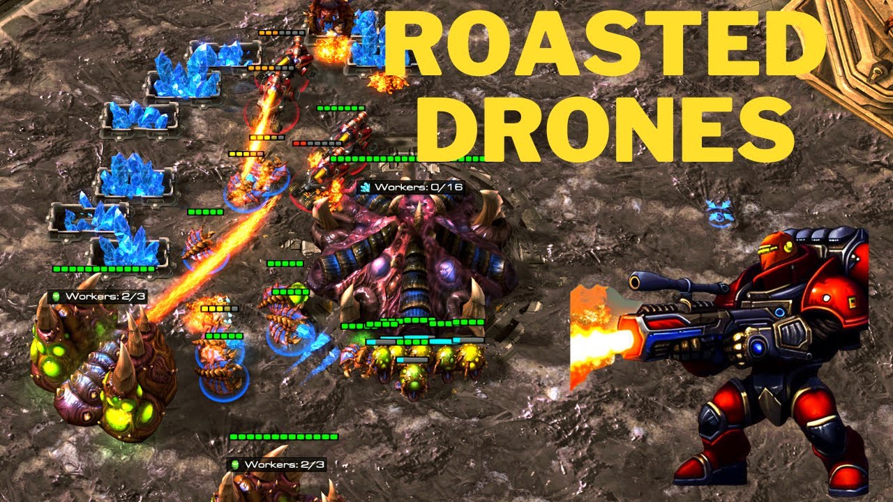 Smells like Roasted Drones... StarCraft 2 TvZ Gold Cast: Taras (T) vs ...