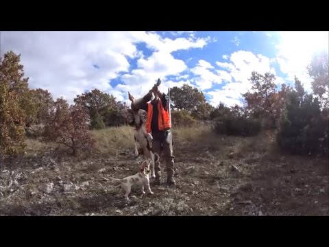 ΚΥΝΗΓΙ ΛΑΓΟΥ DABI 12 11 2016 - YouTube