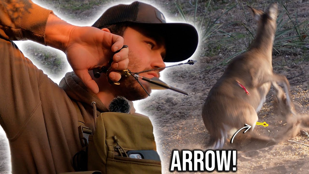 Insane Bow Shots On 2 Deer (Warning: GRAPHIC Footage!!) - YouTube