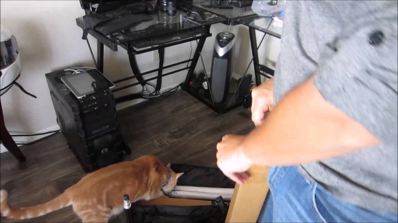 Neewer 600W 5500K Photo Studio Lighting Kit Unboxing and Setup - YouTube