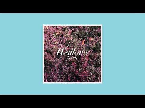 wallows - pictures of girls // with lyrics