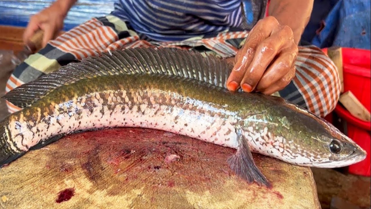 Big Snakehead Murrel Fish Cutting Skills Live in Fish Market - YouTube