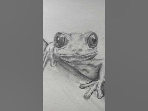 How to draw a realistic frog 🐸 Beginner step-by-step drawing tutorial # ...