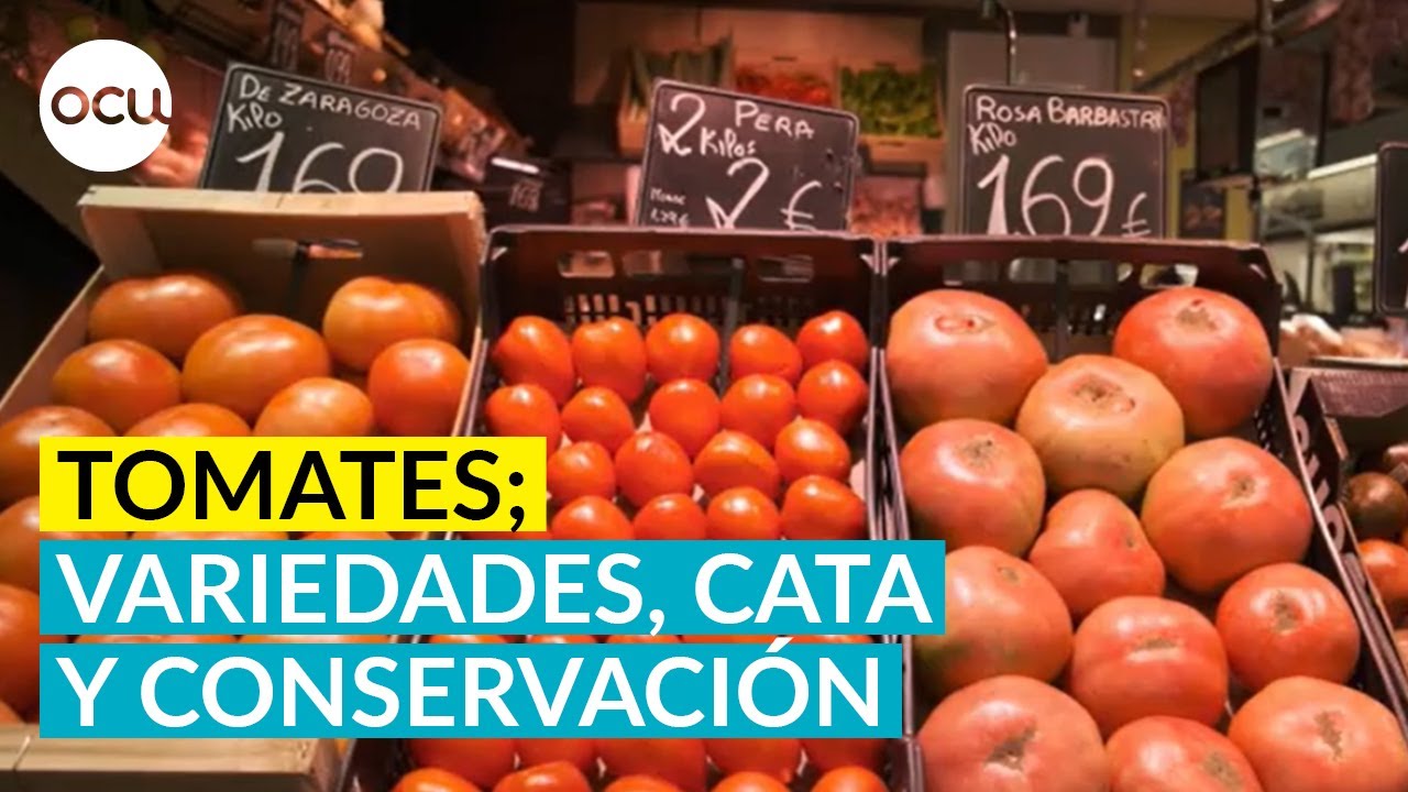 🍅Todo lo que debes saber sobre los tomates: propiedades, variedades y ...