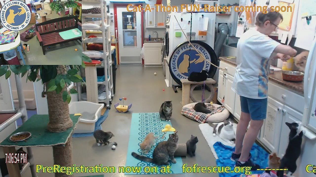 Stan's 20180606 Mars on counter - YouTube