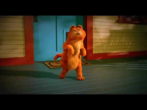 Kucing asupan memek 🤣