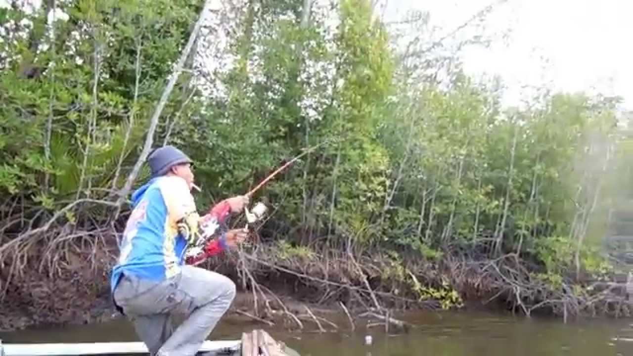 Memancing di Muara Sungai Citra Strike Ikan Kerapu Tikus - YouTube