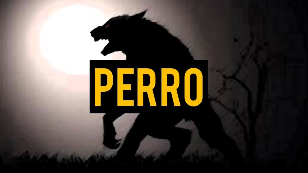PERRO (HISTORIAS DE NAHUALES) - YouTube