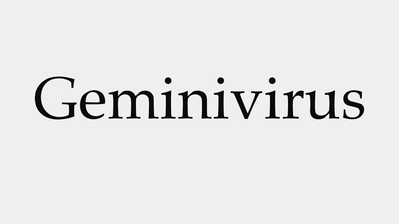How to Pronounce Geminivirus - YouTube