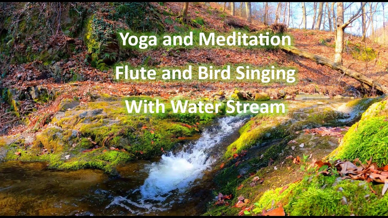 Birds Singing and Flute, Water Stream for Yoga and Meditation - YouTube