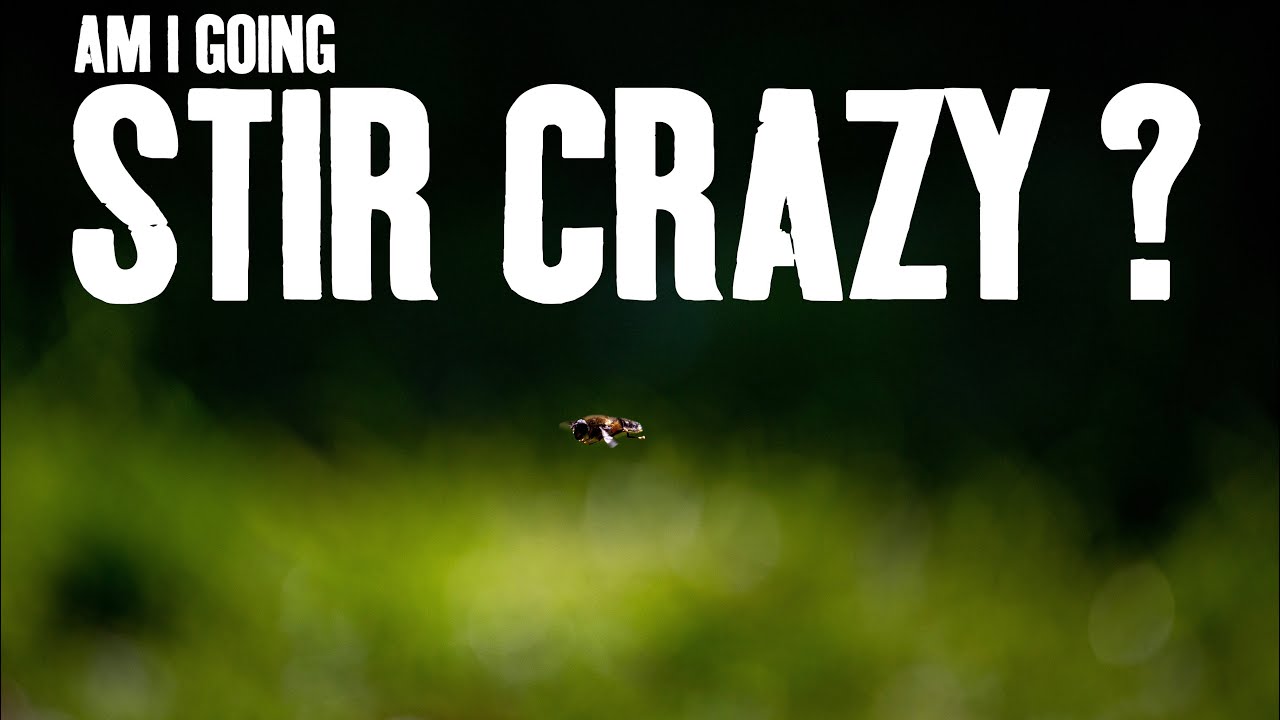 Am I going stir crazy ? | "Outdoor Photography " in lockdown Ireland ...