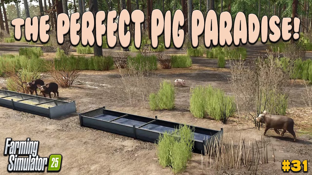 SHOULD I BUY A NEW TRACTOR or HARVESTER?! #31 Farming Simulator 25 ...