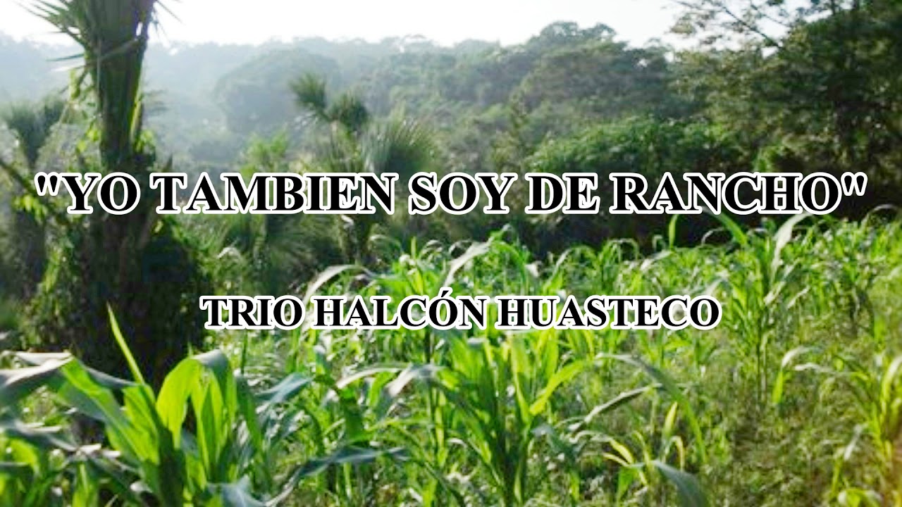 Yo tambíen soy de rancho - Trio Halcón Huasteco - YouTube