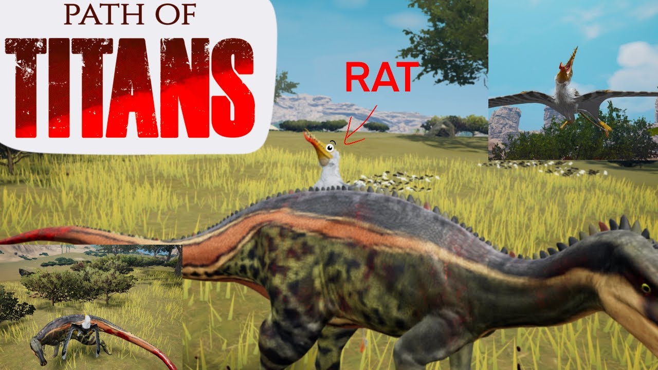 THE LEGENDARY FLYING RAT - Rhamphorhynchus Gameplay - Path of Titans ...