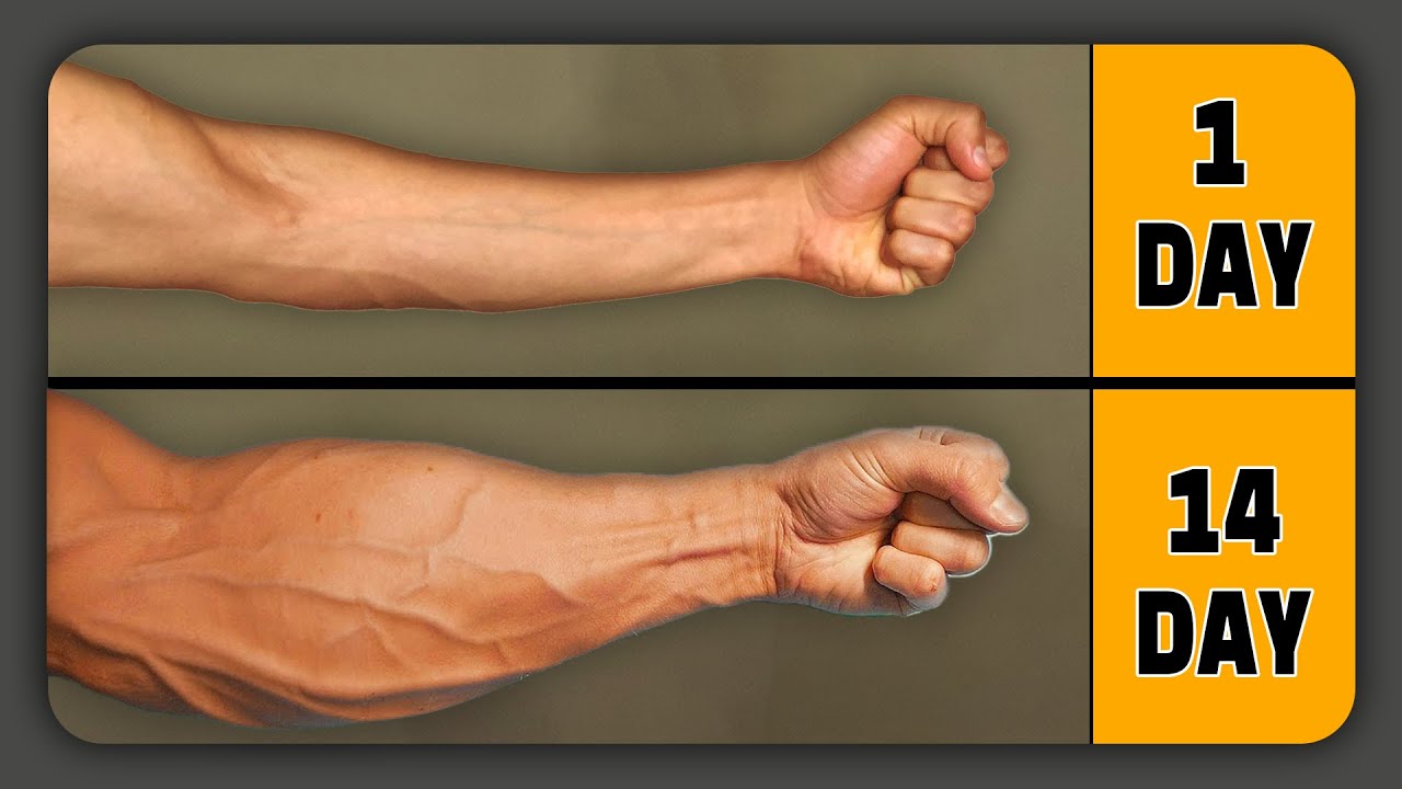 5 PERFECT Exercises For Forearms - YouTube