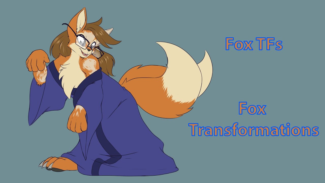 Fox Transformation / Fox TFs #3 - YouTube