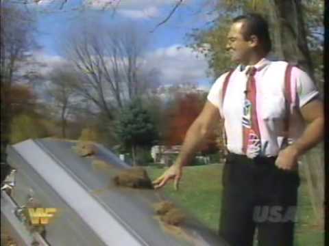 IRS Grave Promo WWF Action Zone 94 - YouTube