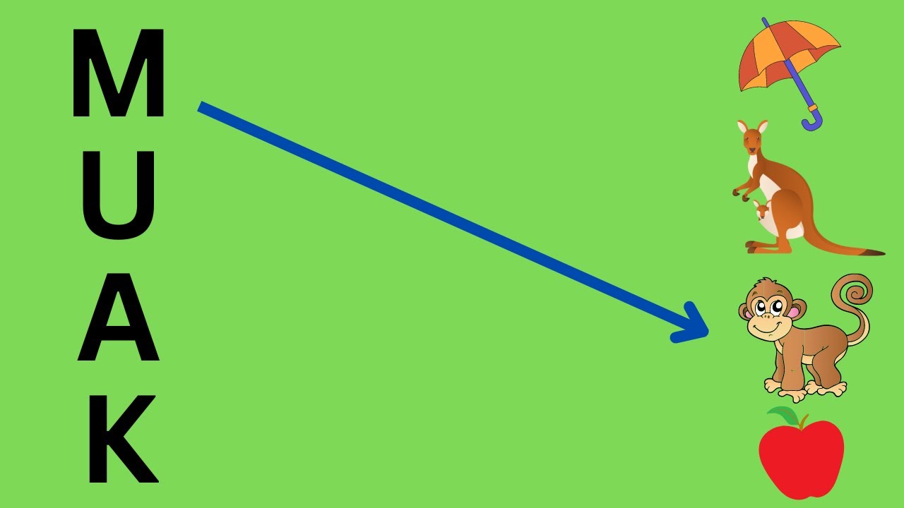 Match the Alphabets with Pictures | English Alphabet | A for apple ...