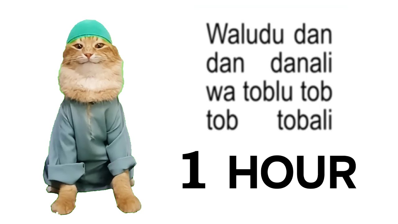 Tob Tobi Tob Tob Tobi Tob 1 Hour Muslim Cat - YouTube