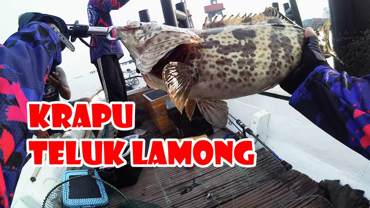 Vlog Mancing Spot Teluk Lamong - YouTube