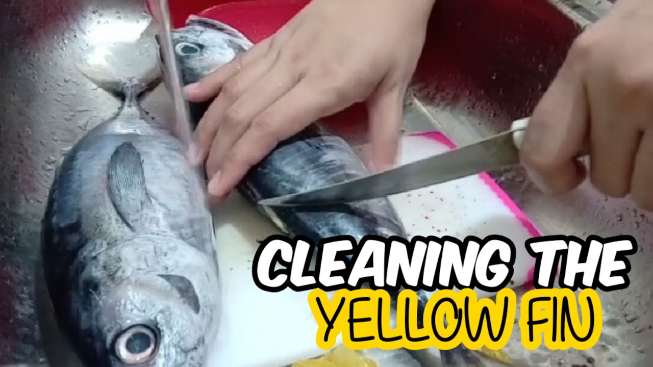 Yellow Fin Fish Cleaning || How I Clean The Fish (Yellow Fin ...