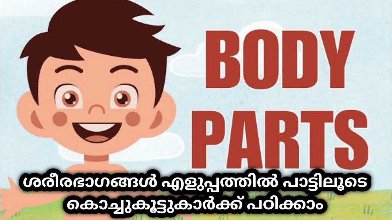 ശരീരഭാഗങ്ങൾ പഠിക്കാം | Body Parts Song in malayalam | BODY PARTS SONG ...